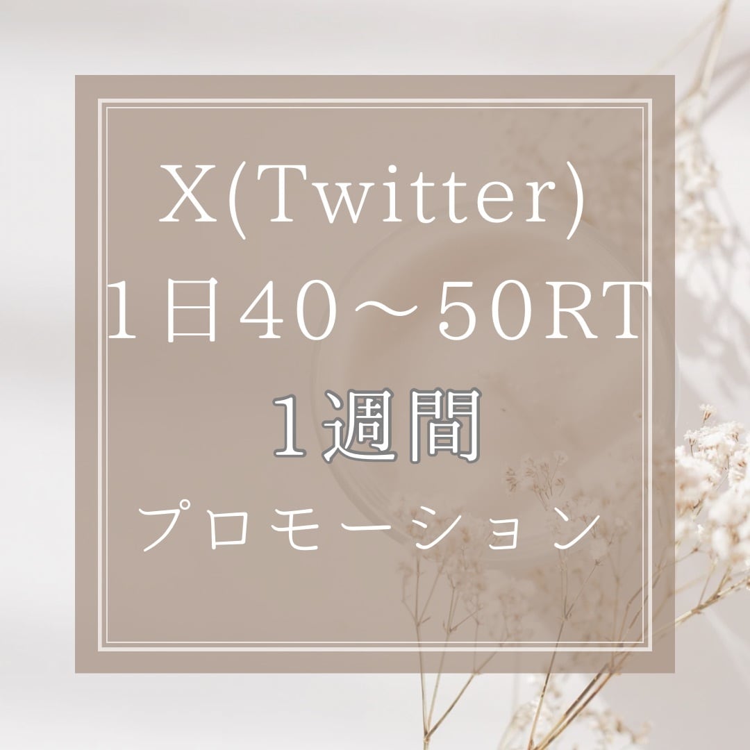 X(Twitter)を1週間プロモーションします X/Twitter/計7ツイート/40〜50RT・いいね | その他（Webマーケティング・集客） | ココナラ